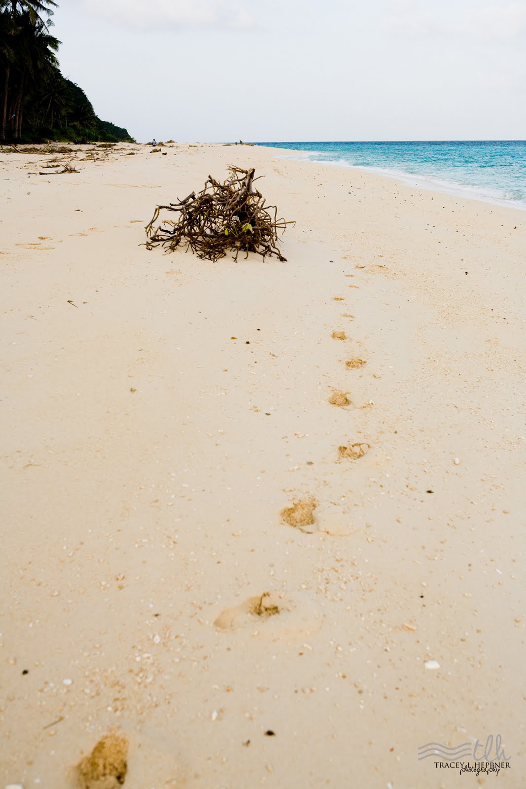 Puka Beach - one of the treasures of Boracay | Philippines Travel ...